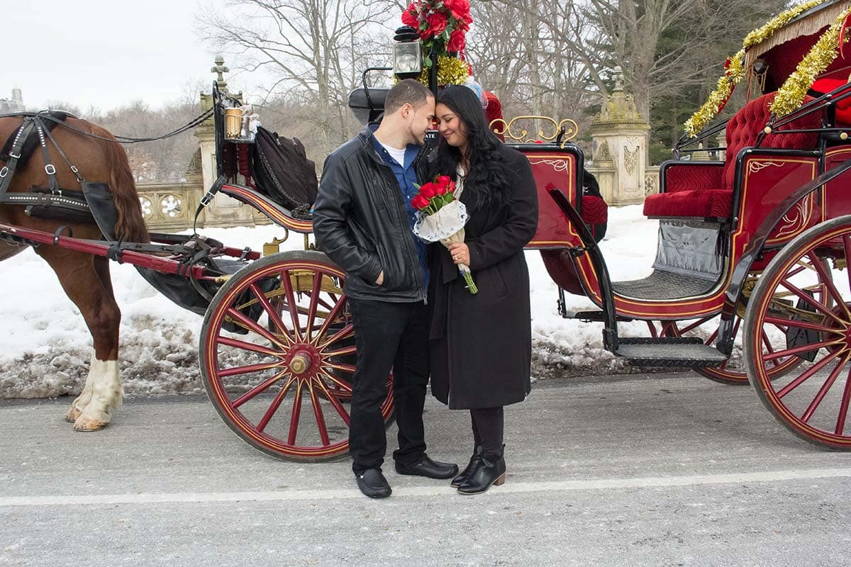 Horse-Drawn Carriage Proposal | No Worries Service NYC